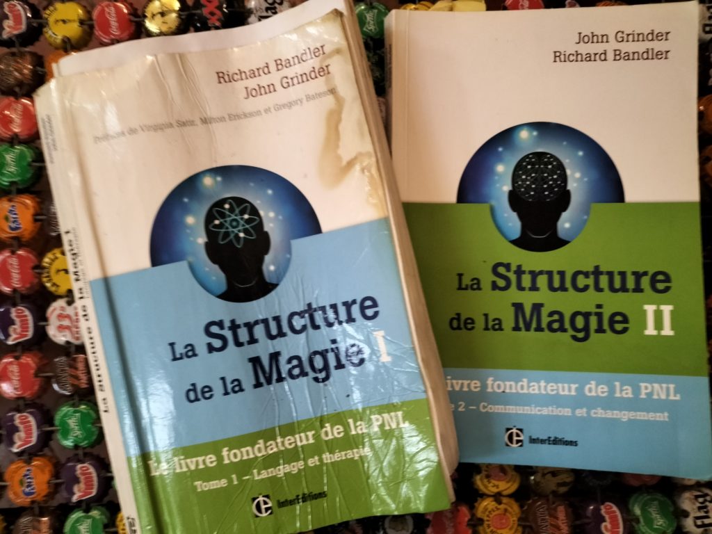 La PNL et le langage des émotions : introduction
